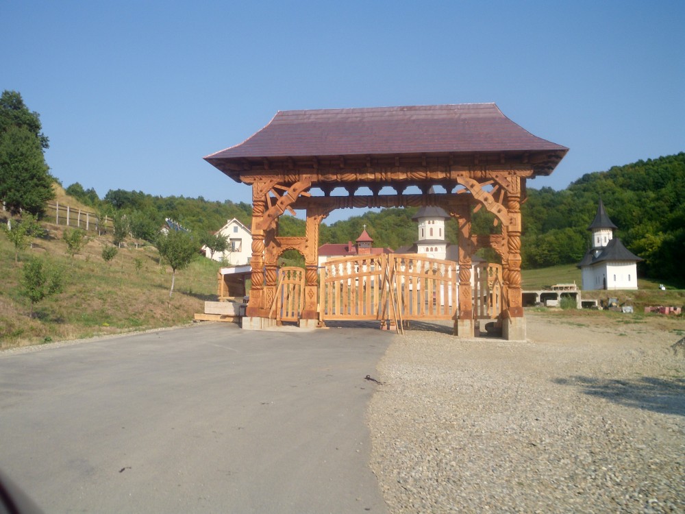 Porti Maramuresene sculptate manual in lemn - TeoBarsan.ro